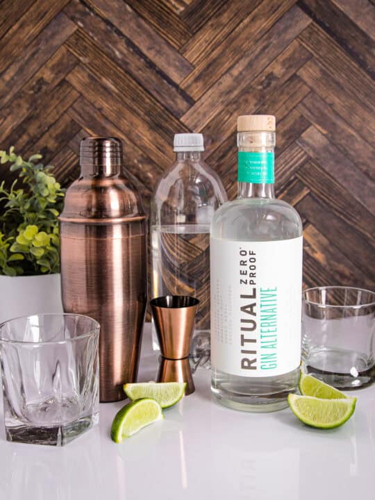 The Best Non Alcoholic Gin and Tonic Recipe