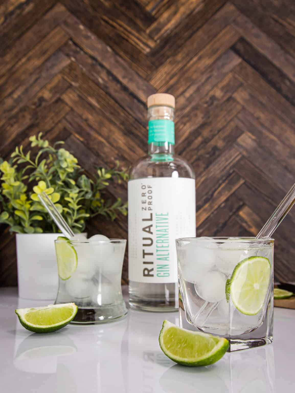 The Best Non Alcoholic Gin and Tonic Recipe