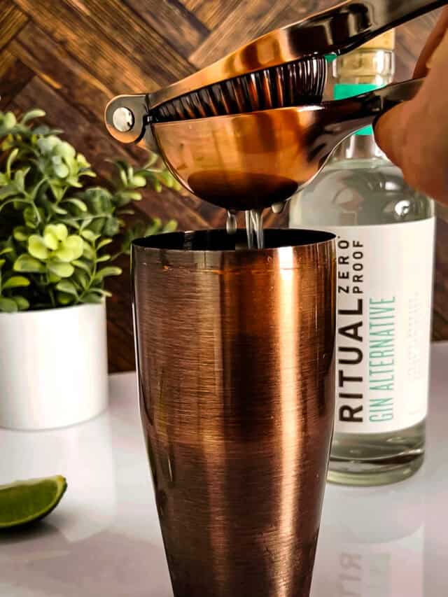 The Best Non Alcoholic Gin and Tonic Recipe