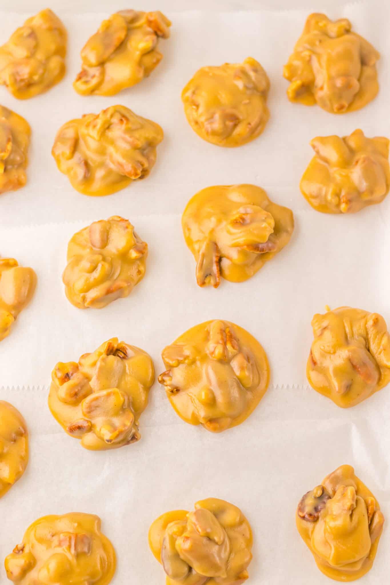 Southern Christmas Pecan Pralines